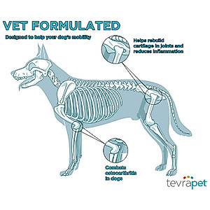 TevraPet Triple Action Hip & Joint Soft Chews, 60 daily chews, 13.2 oz