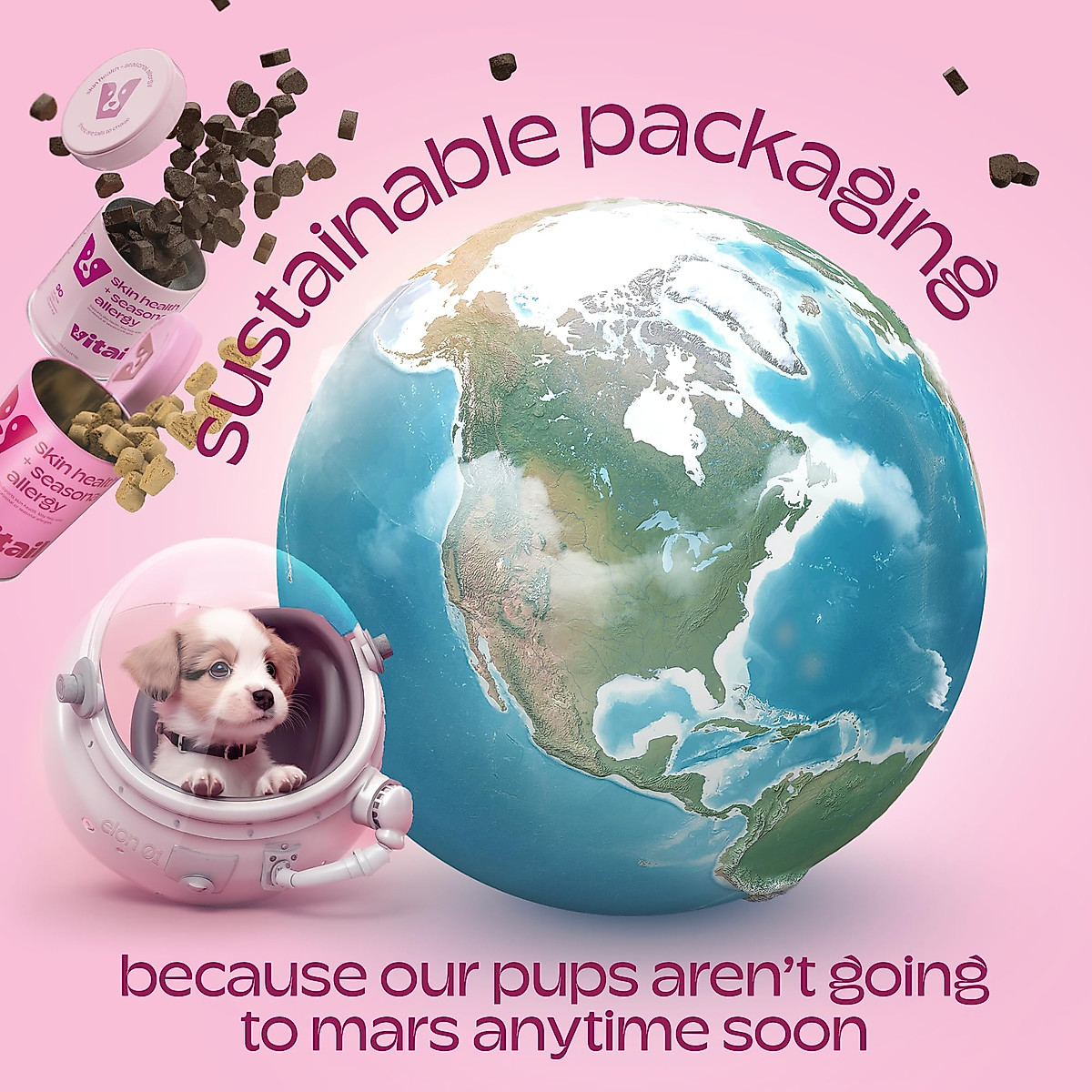 Vitail Skin Health & Seasonal Allergy Dog Chews | Quercetin, Omega-3, Bee Propolis, L-Proline, L-Glycine | Supports Collagen Production, Soothes Itchy Skin & Promotes Skin Health | 90 Soft Chews