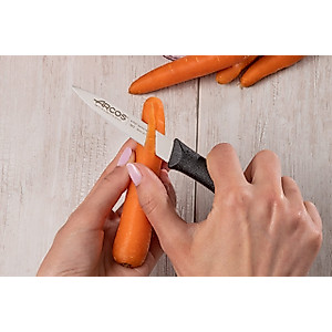 ARCOS Paring Knife 3 Inch Stainless Steel. Professional Kitchen Knife for Cut, Peel and Clean Food. Ergonomic Polyoxymethylene Handle and 85mm Blade. Series Nova. Color Black