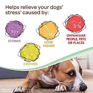 Virbac ZENIDOG Gel Diffuser - Dog Calming Pheromones for Stress Relief, No Electricity Required & Lasts up to 2 Months, Dog Calming Diffuser