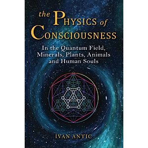 The Physics of Consciousness: In the Quantum Field, Minerals, Plants, Animals and Human Souls (Existence - Consciousness - Bliss)