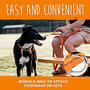 Mighty Paw Two Handle Dog Leash - Extra Control When You Need - Strong Climbers Carabiner - Super Soft Neoprene Padded Handles for Ultimate Comfort - Easy & Convenient - Reflective Stitching - Orange