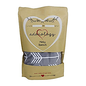 Minky Nursery Blanket, Gray White Arrows Design, Great for Any Mom to Be, Toddler Blanket