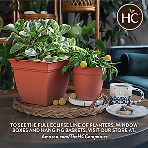 The HC Companies 10 Inch Eclipse Round Planter with Saucer - Indoor Outdoor Plant Pot for Flowers, Vegetables, and Herbs, Clay