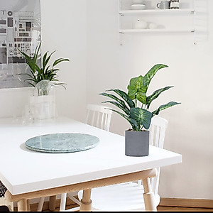 GTIDEA 16 Inch Fake Potted Plants Decor Small Artificial Greenery in Pot Faux Outdoor Plant for Home Indoor Office Table Bathroom Garden Decor