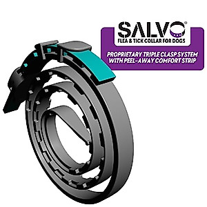 SALVO Flea and Tick Collar for Dogs - Pack of 2 for 12 Months of Protection - Flea and Tick Prevention for Dogs (Large)