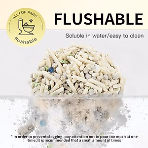 All For Paws Mixed Cat Litter - Formula Upgrade | Enhanced Performance | 2 Bags Flushable 5-in-1 Cat Litter | Natural Tofu Cat Litter (1 Pack)