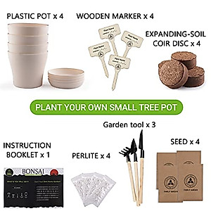 JC-JDFMY11 Gardening Potted Plants,4 Kit Kinds of Decorative Bonsai Tree Planting Kit Suitable for Indoor or Outdoor,Removable Base,with Drain Holes,Creative and Novel Gifts