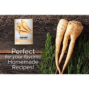 Parsnip Seeds for Planting - Harris Model Heirloom, Non-GMO Vegetable Variety- 1 Gram Approx 200 Seeds Great for Summer, Fall, and Winter Gardens by Gardeners Basics