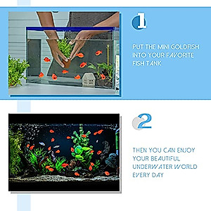 Yookeer Small Resin Red Goldfish Mini Goldfish Figurines Resin Red Fish Toy Set Sea Animals Toys Fairy Garden Accessories Miniature for Home Decor DIY Crafts Miniature Garden Accessories(36 Pieces)