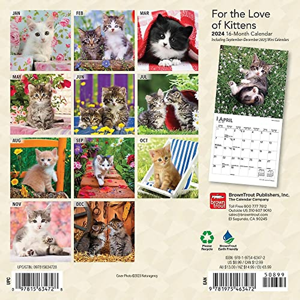 For the Love of Kittens | 2024 7 x 14 Inch Monthly Mini Wall Calendar | BrownTrout | Animals Cats Feline