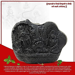 Vedic Vaani The Rarest Sculpture Laksmi Narayana Sacred Blessings Shaligram (Pack of 3)