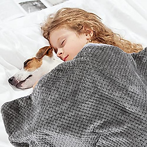 2 Pcs Pet Blanket Flannel Double Layer Dog Cat Blanket Soft Warm Fleece Blankets for Pets Puppy Kitten, Fluffy Cozy Cat Thick Throw Blanket for Couch Bed Sofa Travel Camping (Gray,32 x 40 Inch)