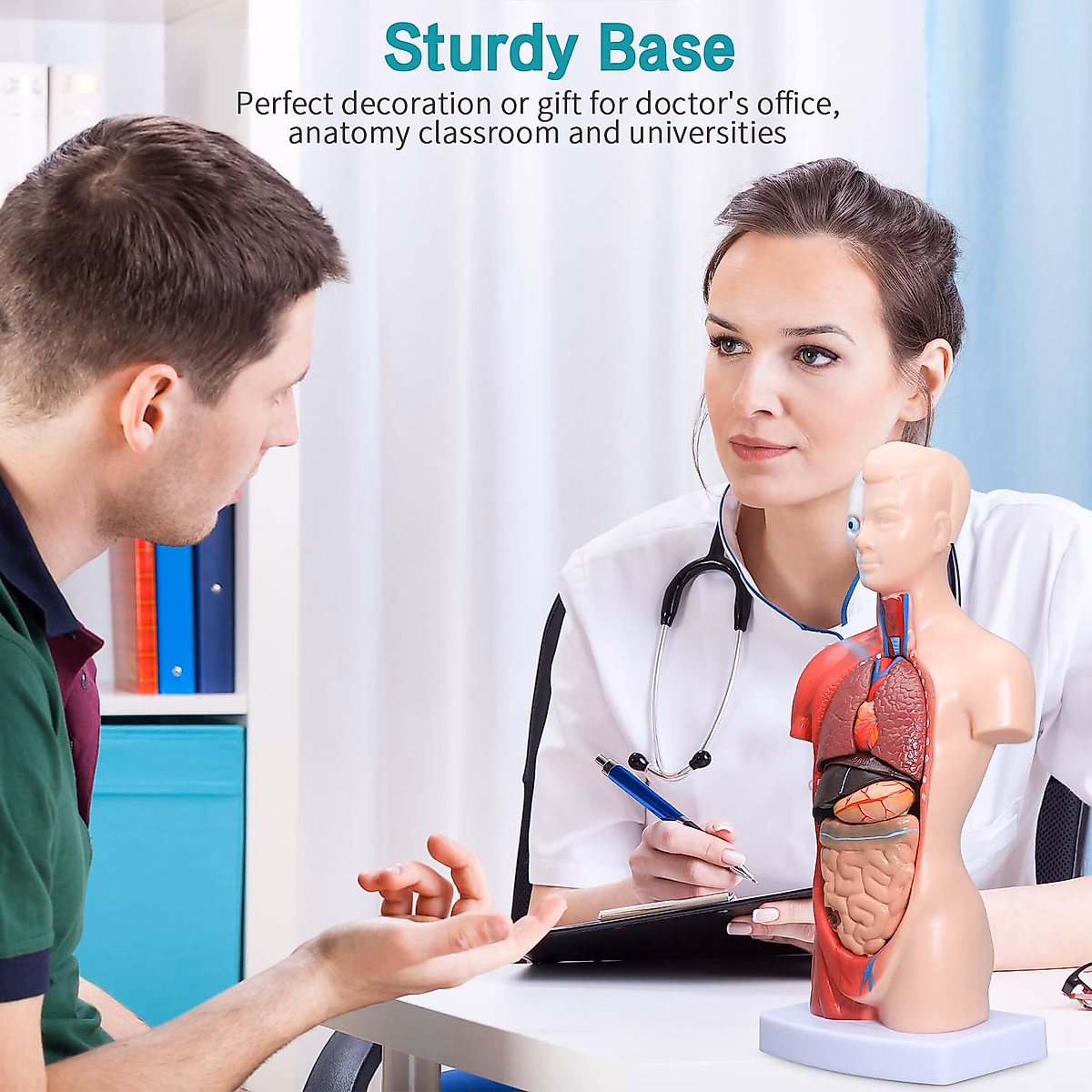 LVCHEN Human Body Model - Human Torso Anatomy Model 15 Pcs Removable Parts with Heart Visceral Brain Skeleto for Preschool & School Science Medical Education Display 28cm/11in