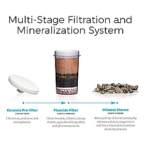 Santevia Gravity Water System Filter | at Home Water Filter That Makes Water Alkaline and Adds Minerals | Chlorine and Fluoride Filter (Countertop Model)