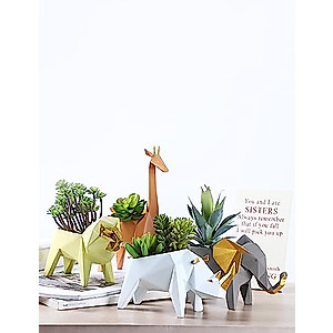 HAUCOZE Succulent Planter Rhino Statue Decor Animal Gifts Modern Sculpture Figurine Geometric Crafts Arts Polyresin Flower Pot 7.1inch