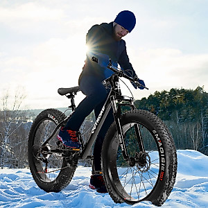 Paname 26 Inch Fat Tire Mountain Bike for Men Women, 21 Speed Shimano Drivetrain, 4 Inch Wide Tire, Steel Frame, Dual Disc Brakes, Black