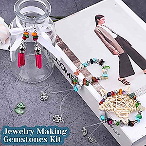 PAXCOO 1046Pcs Crystal Chip Beads and Jewelry Making Gemstones Kit for Jewelry Earring Necklace and Bracelets Making Supplies