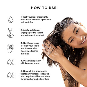 WOW Skin Science Himalayan Rose Hair Shampoo for Dry Damaged Hair - Hydrating Hair Repair w/ Rose Hydrosol & Argan Oil - Hair Growth Shampoo for Men & Women - All Hair Types 16.9 Fl Oz (16.9 Fl Oz (Pack of 1))