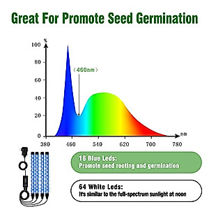 Kirababy Seed Starter Tray with Grow Light, 2 Packs Seed Tray Kits with 80-Cell/Seedling Tray with Humidity Dome/Indoor Grow Kit for Deep-Rooted Seedlings