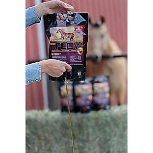 Flaxen Flow 3 L, 100% Flax Seed Oil, Rich in Omega-3 and Omega-6 Fatty Acids