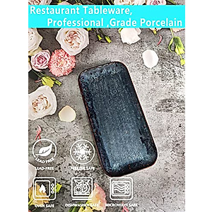 Jinsongdafa Ceramic Dinner Plates Set of 4, Main Dish for Steak, Bread, Risotto, Pasta, Salad, Microwave, Oven and Dishwasher Safe, Scratch Resistant