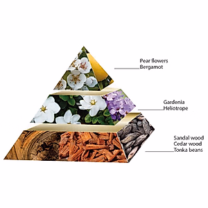 Pascal Morabito - Pure Perle - 3.4 Oz Eau De Parfum - Fragrance Mist For Women - Floral Oriental Scent - Perfume Spray With Pear Blossom, Gardenia, Tonka, Cedar Accords