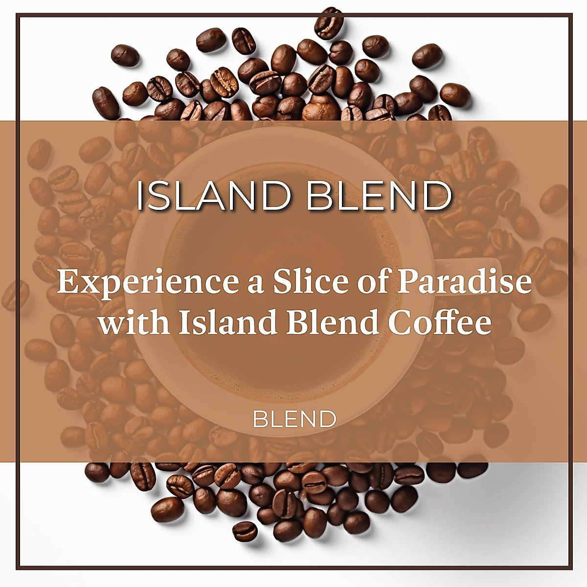 San Diego Coffee Island Blend, Medium Roast, Whole Bean Coffee, 5-Pound Bag Café en grano tostado
