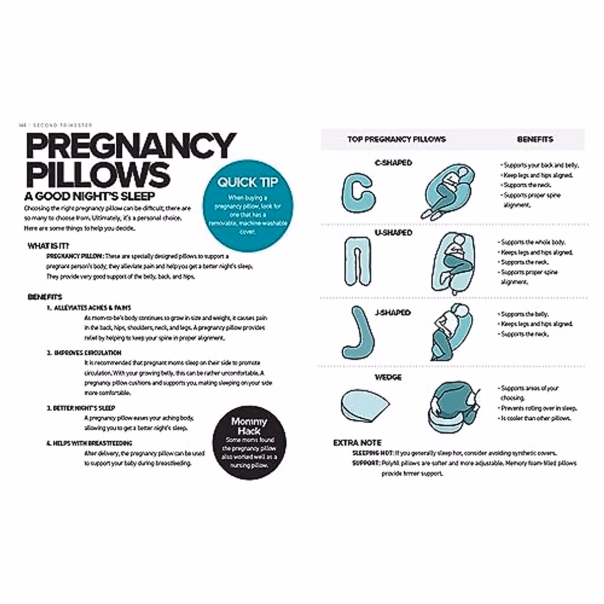 The Simplest Pregnancy Book in the World: The Illustrated, Grab-and-Do Guide for a Healthy, Happy Pregnancy and Childbirth