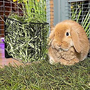 2 Pcs Pet Hay Feeder Guinea Pig Metal Hookable Manger Rabbit Feeder Hay Holder for Rabbits Hanging Hay Rack Timothy Hay for Guinea Pig Bunny Chinchilla Small Animal Cage, 7.3 x 6.7 x 4.3 Inch