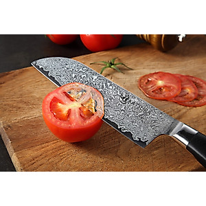 KATSURA Santoku Knife – 5 Inch – Japanese Premium AUS 10, 67 Layers Damascus Steel Knife