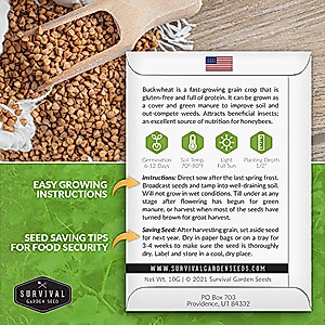 Survival Garden Seeds - Buckwheat Seed for Planting - Packet with Instructions to Plant and Grow a Cover Crop and Buckwheat Plants in Your Home Vegetable Garden - Non-GMO Heirloom Variety