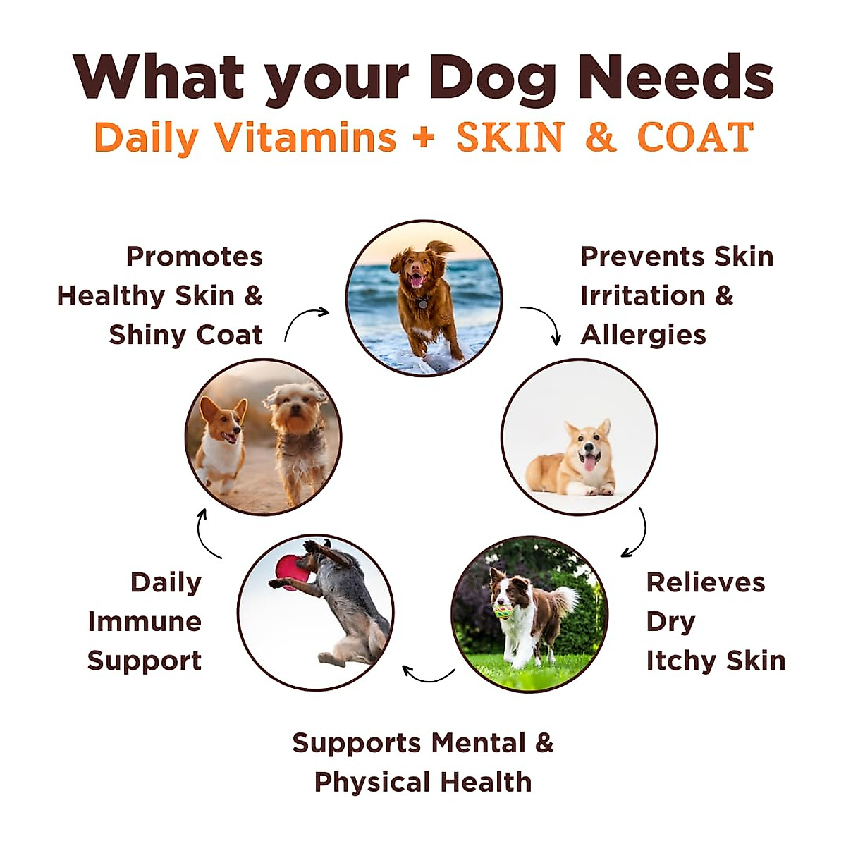 Mission-Proven Globally in Our Counterterrorism Work - Ultimate Skin & Coat Dog Chews-3X The Chews-Advanced Daily, Omega 3, DHA, EPA, Dry Skin Soother