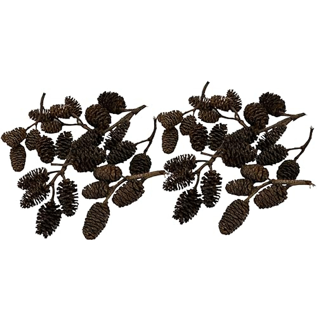 Alder & Casuarina Cones Betta/Shrimp Tank Promotes Natural Habitat, Breeding, Tannin Producing Improves Immunity, Easy to Use, Alder Cone Alternative by Awesome Aquatic (50 Pack Alder)