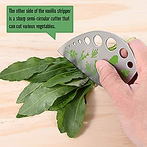 Herb Stripper and Cutter, Stainless Steel for Oregano, Rosemary, Thyme, Kale, etc.1 Pack