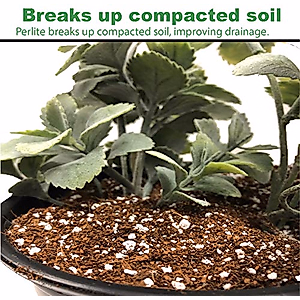 Viagrow VPER1 VPER Perlite 29 Quarts, 1 Cubic Foot, 1-Pack, White, Horticulture-29Q