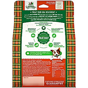 GREENIES Regular Natural Dog Dental Care Chews Oral Health Dog Treats, Pumpkin Spice Flavor, 12 oz. (12 Treats)