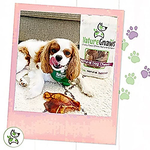 Nature Gnaws Pig Ears for Dogs - Premium Natural Pork Dental Chews - Thick Long Lasting Dog Chew Treats for Aggressive Chewers - Rawhide Free 8 Count (Pack of 1)