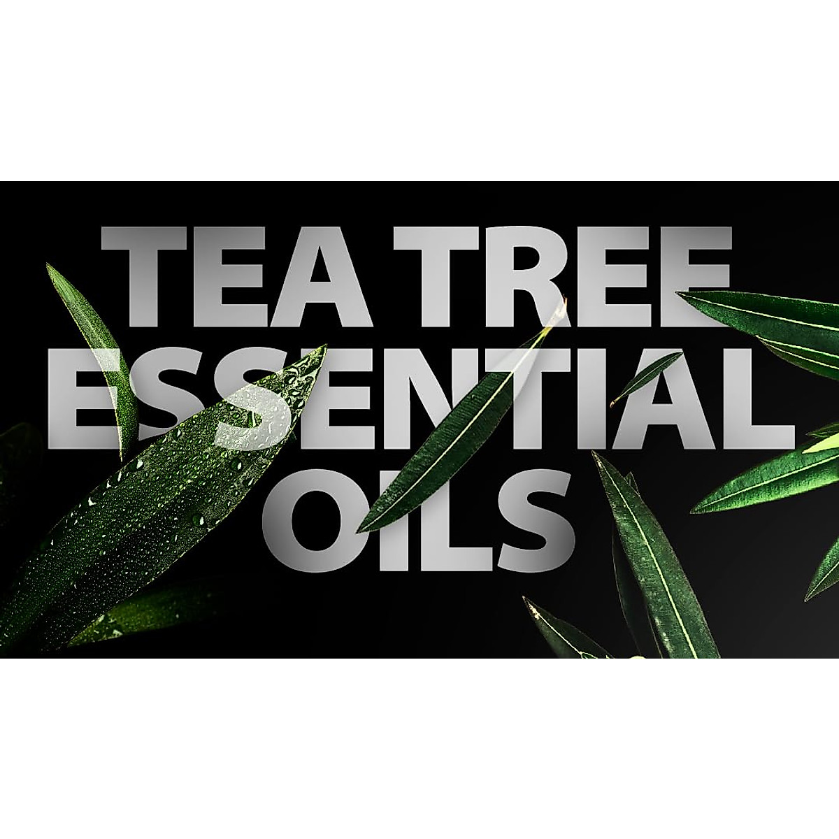 Spar Soap Platinum Bar (4 Ounce), Lavender Tea Tree, Antifungal Properties, For BJJ, MMA, Wrestlers, Grapplers, Men/Women, USA Made Body Soap, For Body Odor, With Lavender, Cassia, Clove