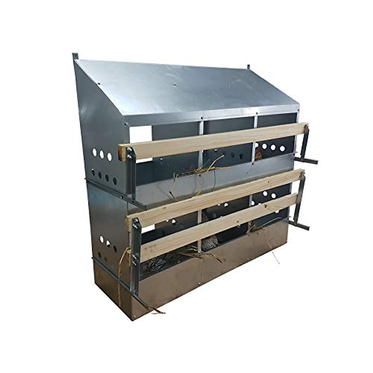 6 Hole Heavy Duty 23ga Galvanized Chicken Nesting Laying Roost Box Made in USA | High Front and Back Panels | Easy to Remove and Clean | Heavy Duty perches hinged Upward | Rust Resistant 0300112