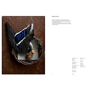 Noma 2.0: Vegetable, Forest, Ocean