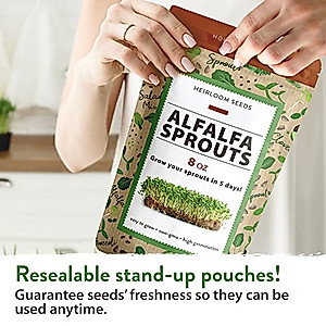 8oz Alfalfa Sprouting Seeds - Alfalfa Sprout Seeds for Indoor or Outdoor Planting - Non-GMO, USA Premium Alfalfa Seeds for Sprouting - Microgreen Seed Sprouts in Resealable Bag for Longer Freshness