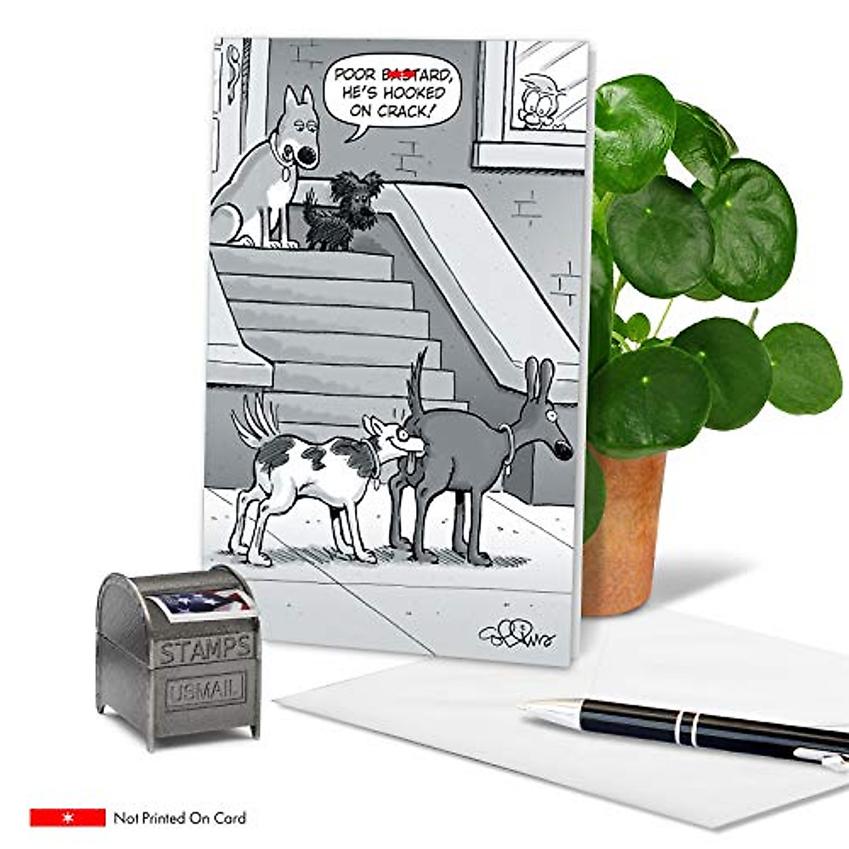 NobleWorks Funny Birthday Greeting Card with 5 x 7 Inch Envelope (1 Card) Bday Hooked on Crack Collins Birthday 7902Z