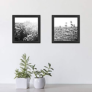 MCS Gallery Essential Picture Frames, Photo Gallery Wall Frame Set, Black Woodgrain, 8 x 8 Inch, 2-Pack