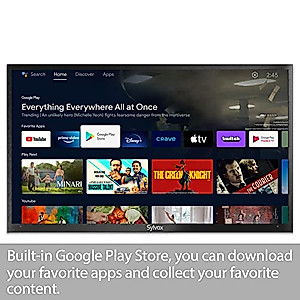 SYLVOX 43'' Outdoor Smart TV 4K UHD Waterproof TV 1000NIT High Bright HDR TV Android 11.0 Built-in Chromecast, with Voice Remote Control for Indoor and Outdoor Use