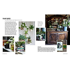 Shed Style: Decorating cabins, huts, pods, sheds & other garden rooms