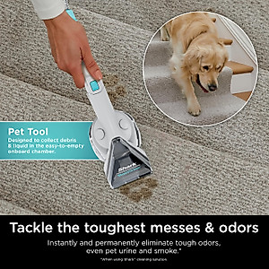 Shark PX201 StainStriker Portable Carpet & Upholstery Cleaner, Spot, Stain, & Odor Eliminator, 3 Attachments, Perfect for Pets, Carpet, Area Rugs, Couches, Upholstery, Cars & More, White