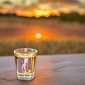 Hip Flask Plus 2oz Sexy Demon Succubus Shot glass