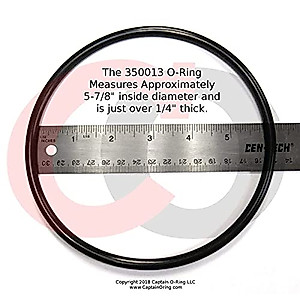 Captain O-Ring - 350013 Lid O-Ring - Compatible with Pentair IntelliFlo, WhisperFlo, Challenger and Pinnacle Pool and Spa Pumps
