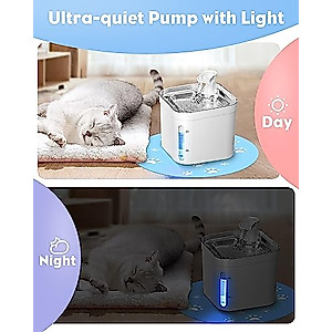Petnimal Cat Water Fountain, 74oz/2.2L 304 Stainless Steel Cat Fountain Water Bowl with Water Level, Quiet Automatic Pet Water Fountain with Silicone Mat, Pet Fountain for Cats Dogs Multiple Pets